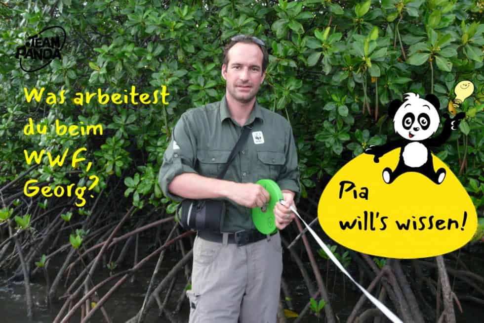 Team Panda fragt nach - WWF Österreich