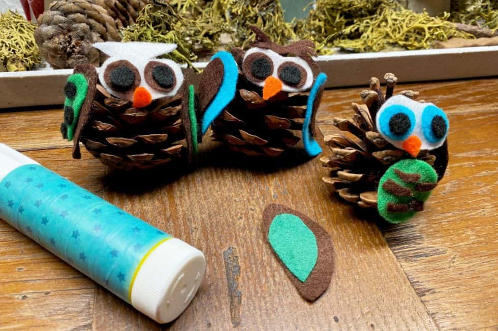 Eulen aus Tannenzapfen basteln - WWF Österreich