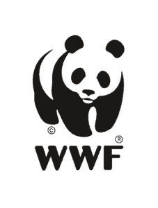 WWF zu Rote Liste-Update: Afrikanischer Waldelefant jetzt „vom ...
