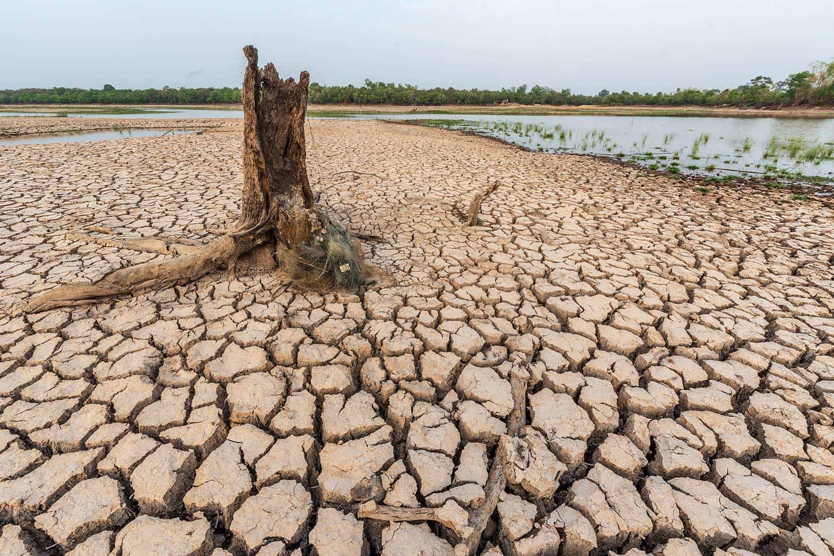 Klima weltweit: Ursachen & Folgen des Klimawandels I WWF