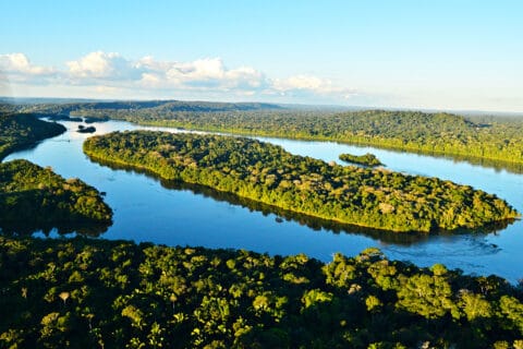 Flüsse unserer Erde: Lebenswichtig und bedroht I WWF Österreich