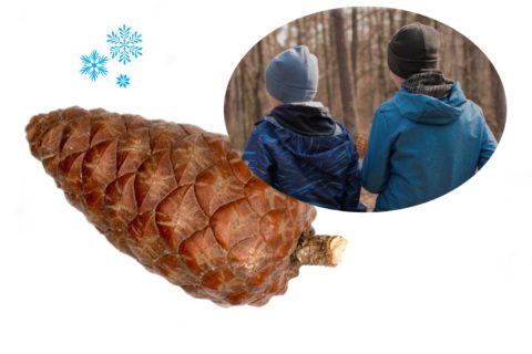 Der Bockerl-Lauf - WWF Österreich