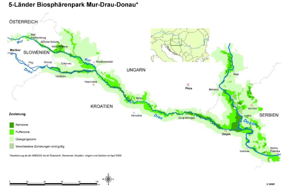 Mur, Drau & Donau: Der Amazonas Europas | WWF Österreich