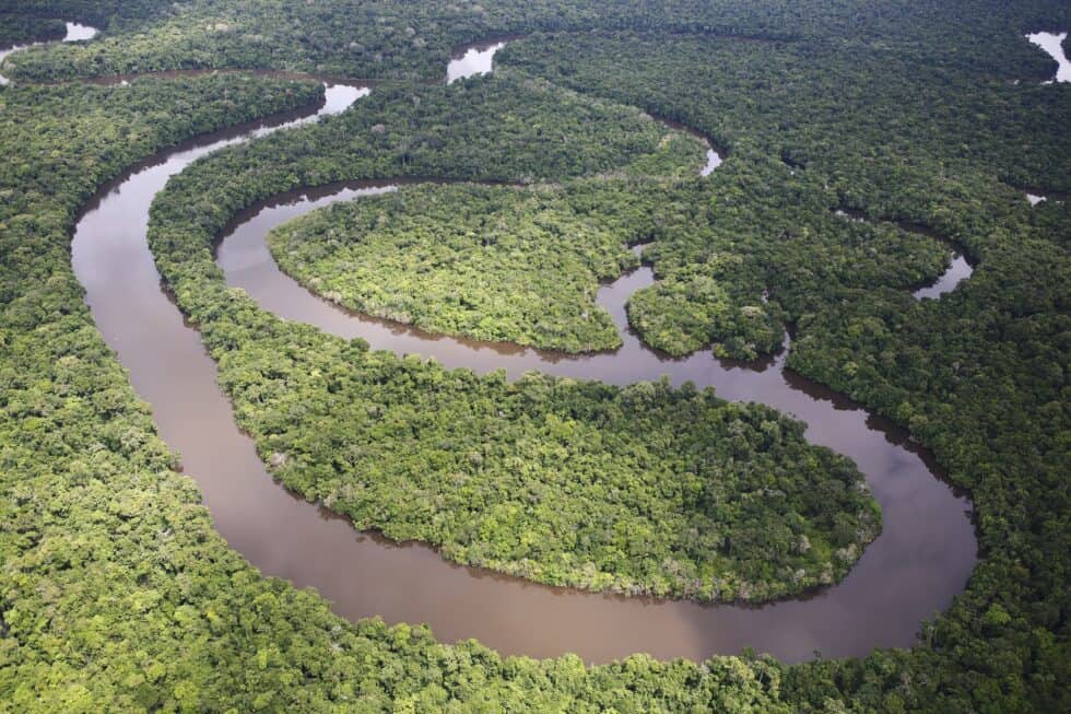 Fotoalbum Regenwald - WWF Österreich