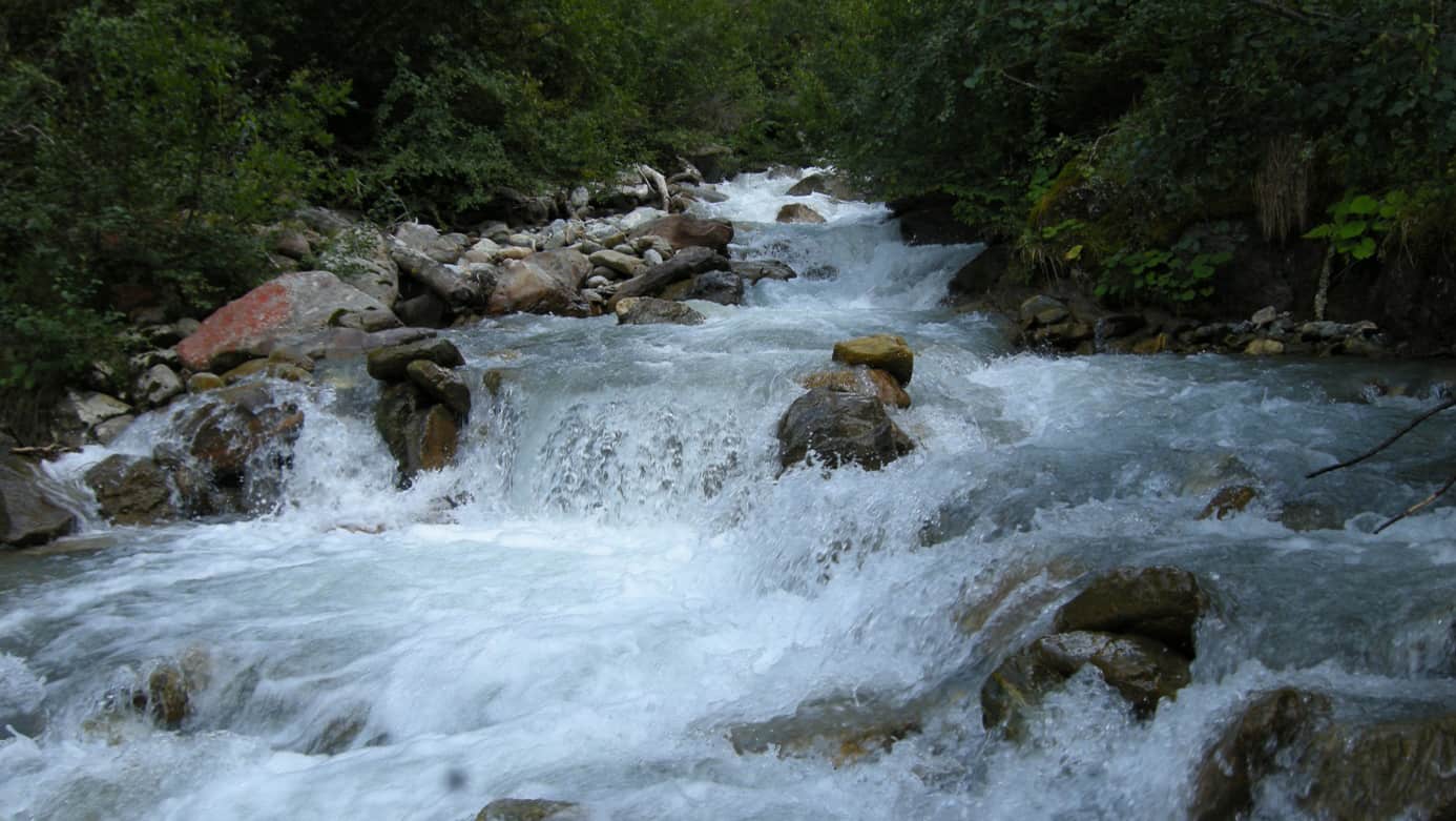 Unser Wasser ist in Gefahr - WWF Österreich