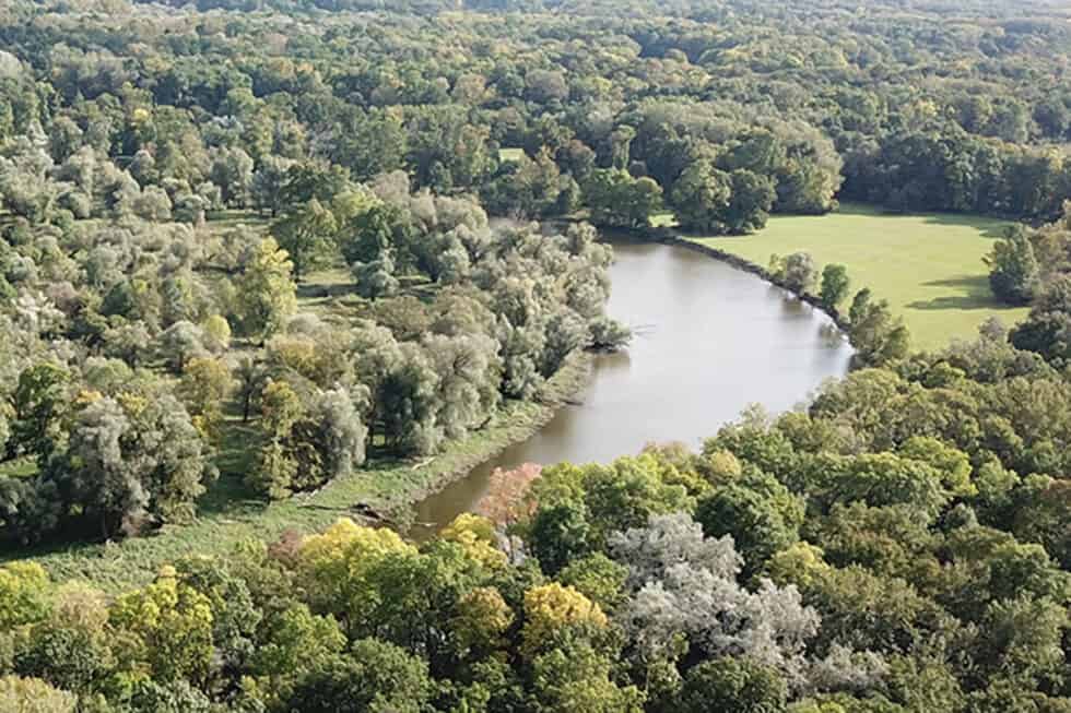 Österreichische Nationalbank & WWF: Kooperation für Fluss- und Klimaschutz