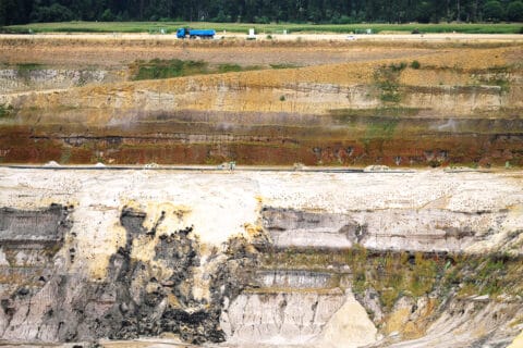Boden: Die Grundlage des Lebens schützen | WWF Österreich