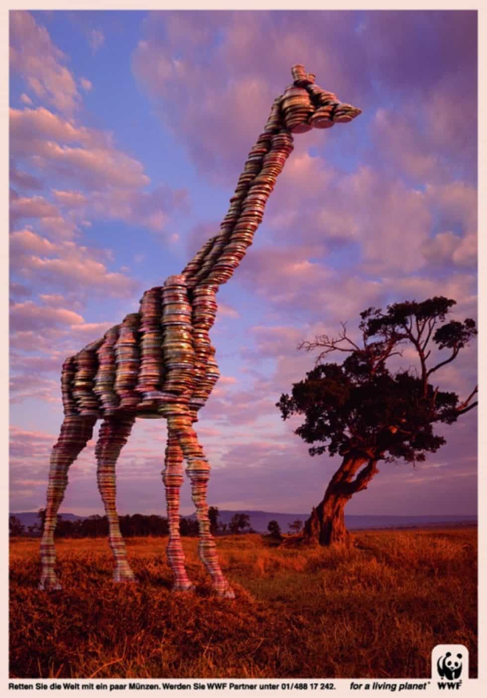 WWF-Giraffe gewinnt erstmalig Gold beim News-Magazin-Award - WWF Österreich