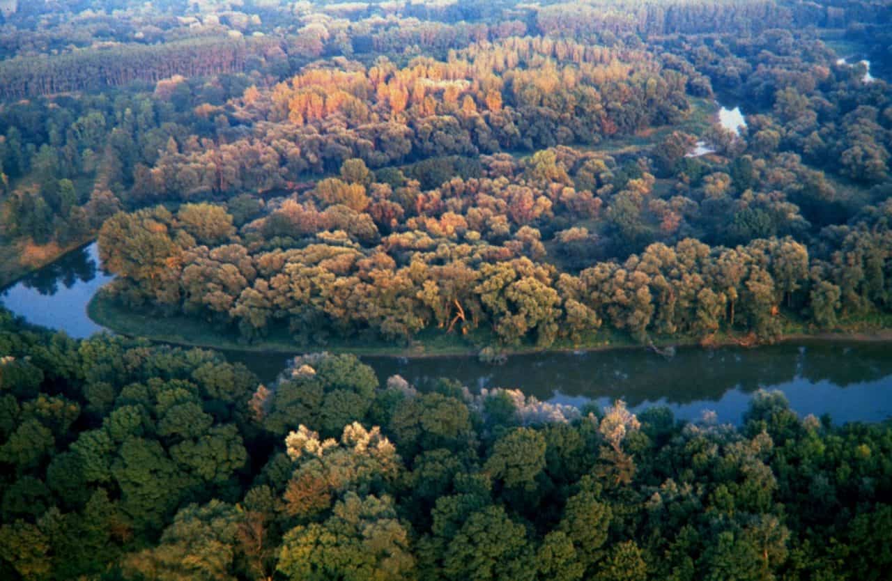 Lobautunnel untergräbt Naturparadiese und Klimaschutz - WWF Österreich