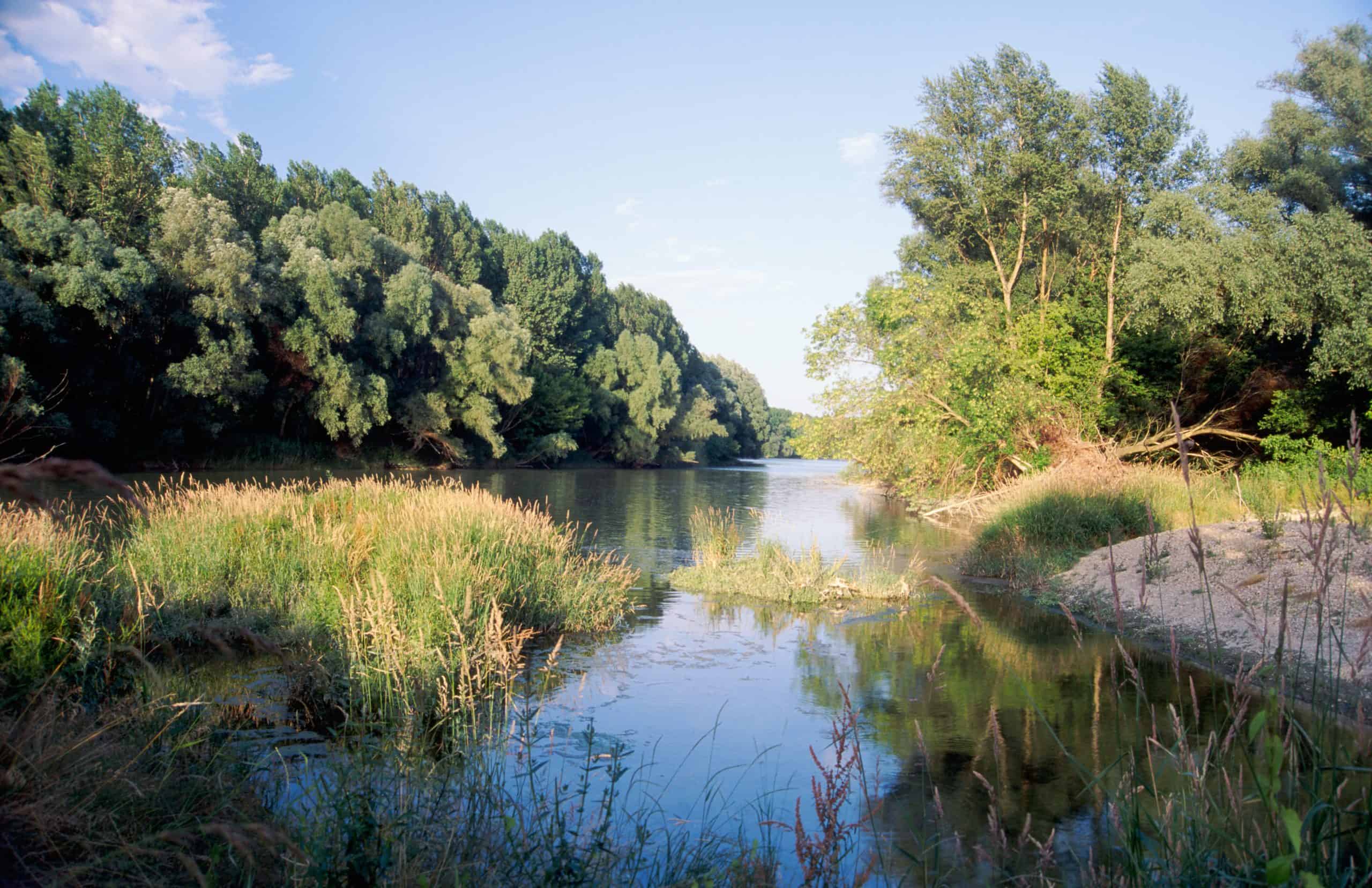 3 Gründe, warum der Lobau-Tunnel keine gute Idee ist - WWF Österreich