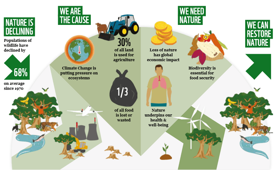 NATURE-POSITIVE ECONOMY - WWF Österreich