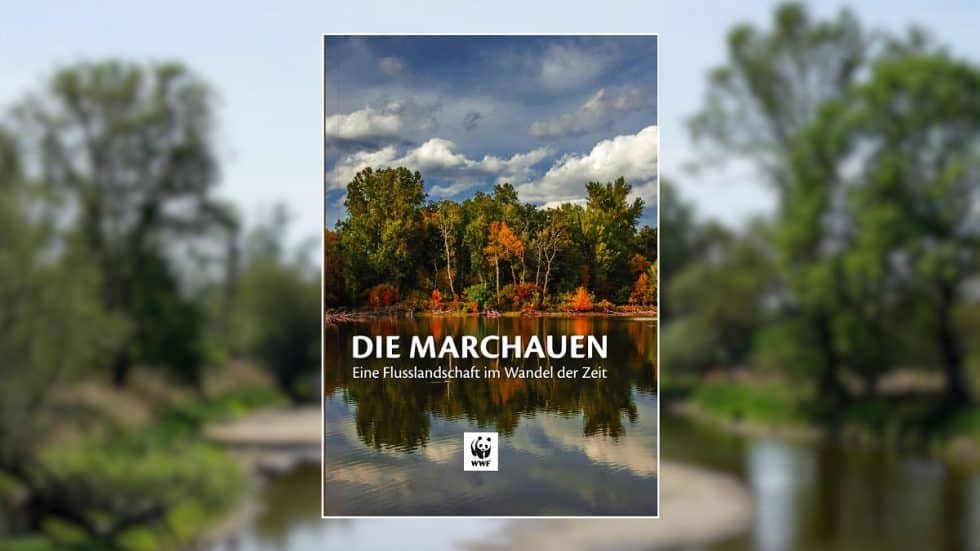 WWF-Buch: DIE MARCHAUEN - Eine Flusslandschaft im Wandel der Zeit - WWF ...