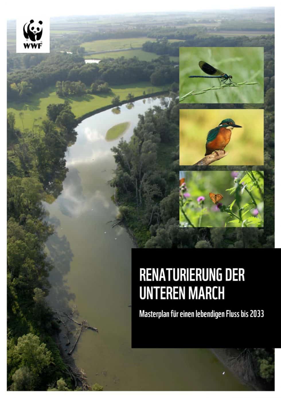March: Wie der Fluss wieder natürlich werden kann - WWF Österreich