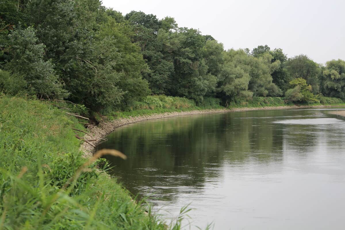 March: Wie der Fluss wieder natürlich werden kann - WWF Österreich