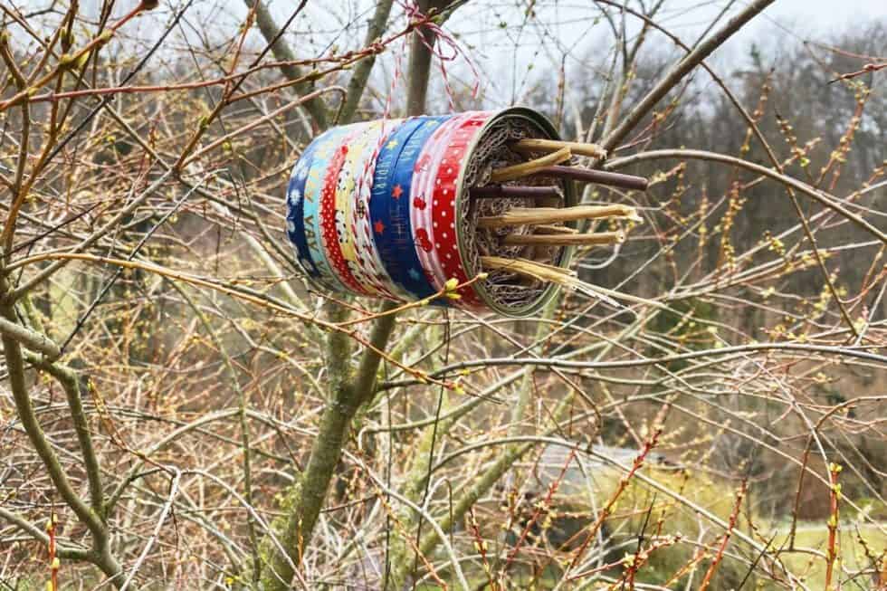 Marienkäferhotel bauen - WWF Österreich