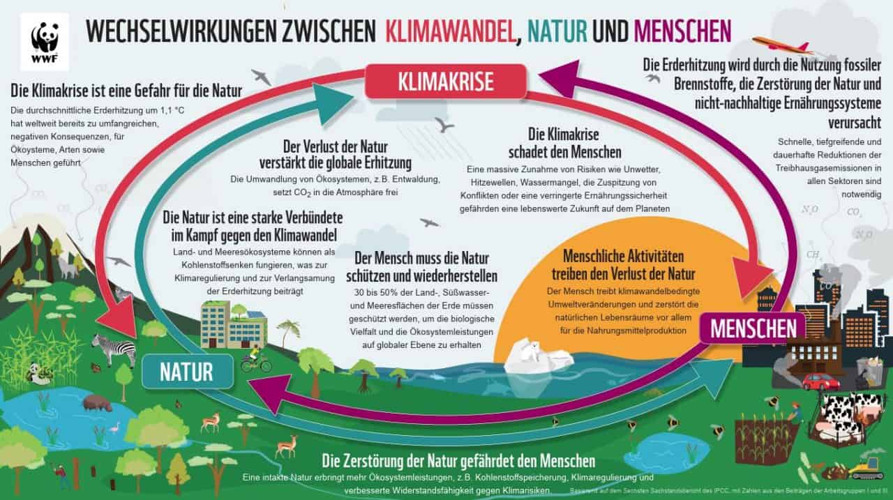 WWF-Studie: Unsere Natur, die unbekannte Verbündete des Klimas - WWF ...