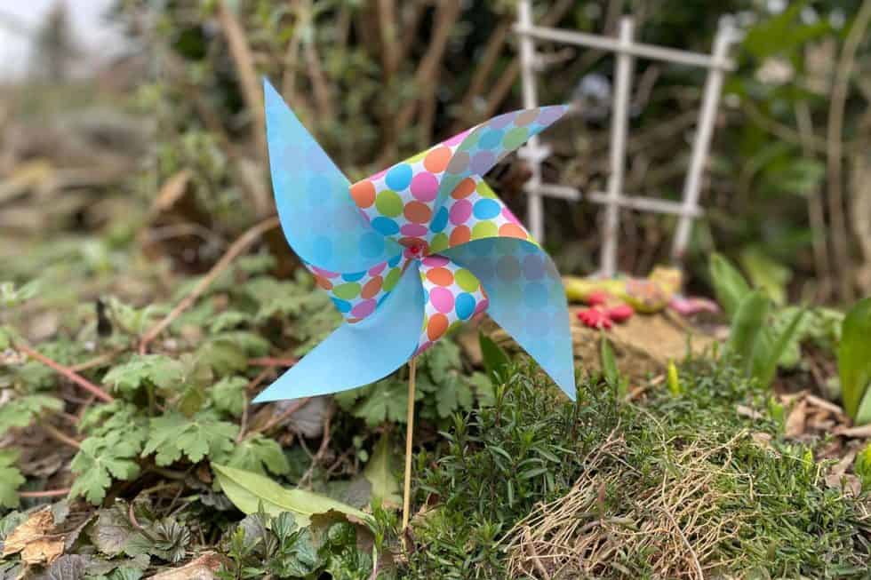 Teampanda-Basteltipp: Windräder basteln I WWF Österreich