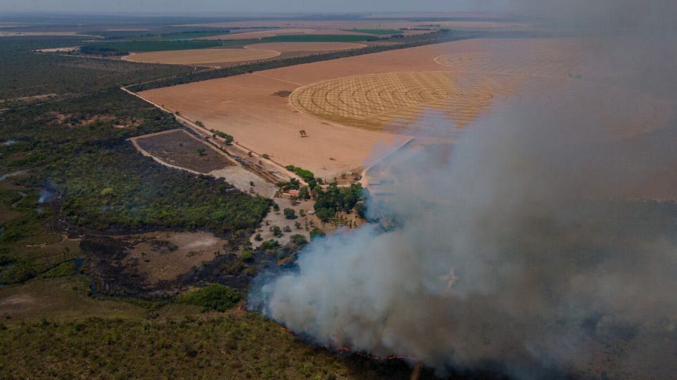 Fotostrecke: So schützt der WWF den Cerrado - WWF Österreich