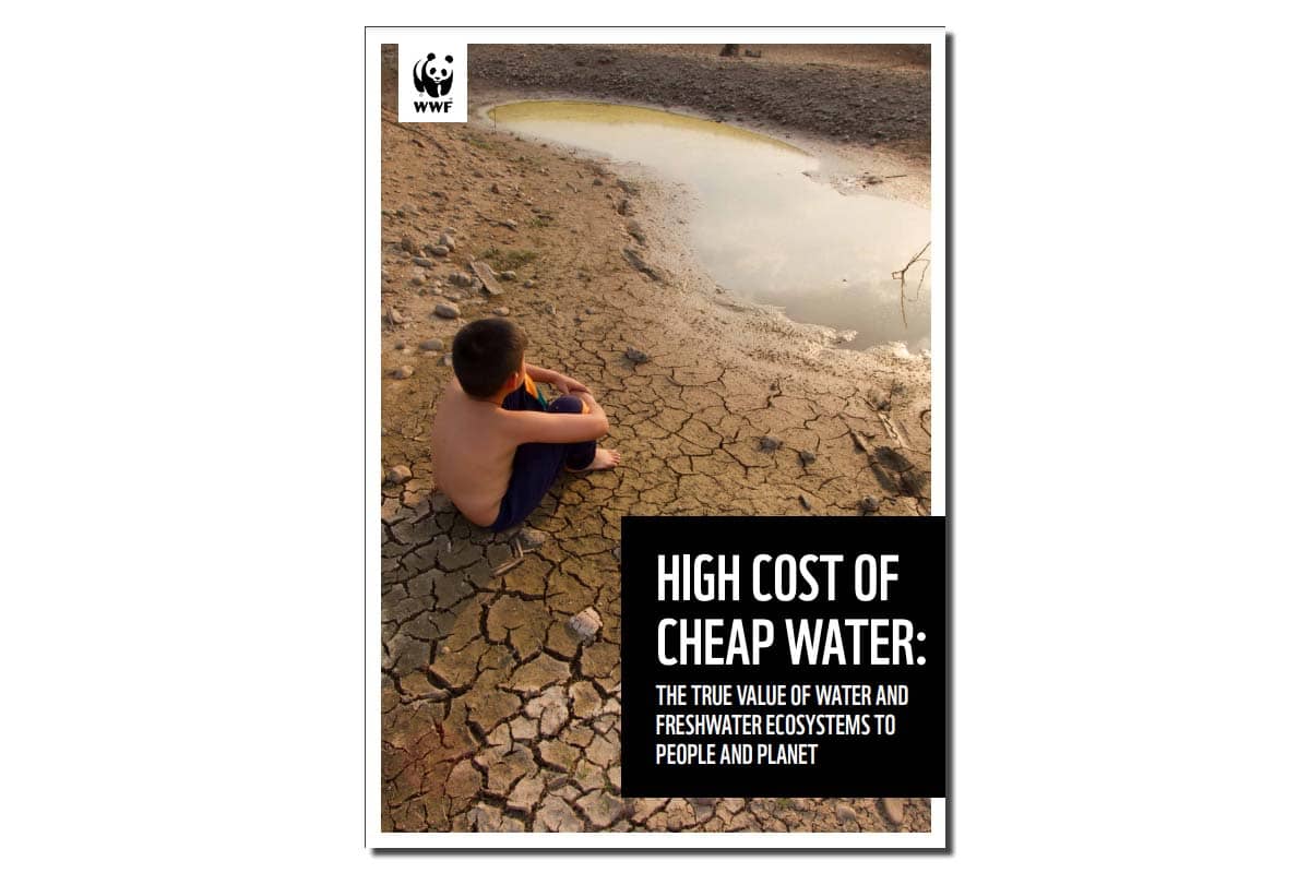 Wirtschaftliche Perspektive auf die globale Süßwasserkrise in der WWF Studie “High Cost of Cheap ...