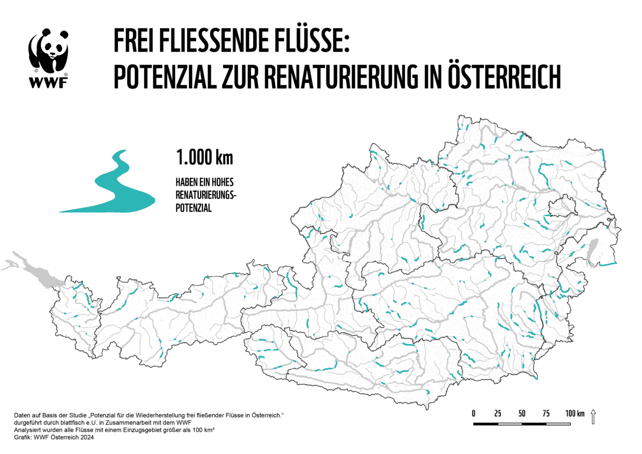 Studie: 1.000 Flusskilometer mit hohem Potenzial für Renaturierung ...