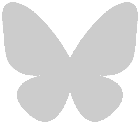 Der Engelhai - Seltener Meerengel - WWF Österreich